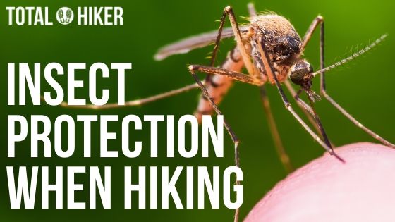 Insect Protection When Hiking : How to Repel Insects on the Trails